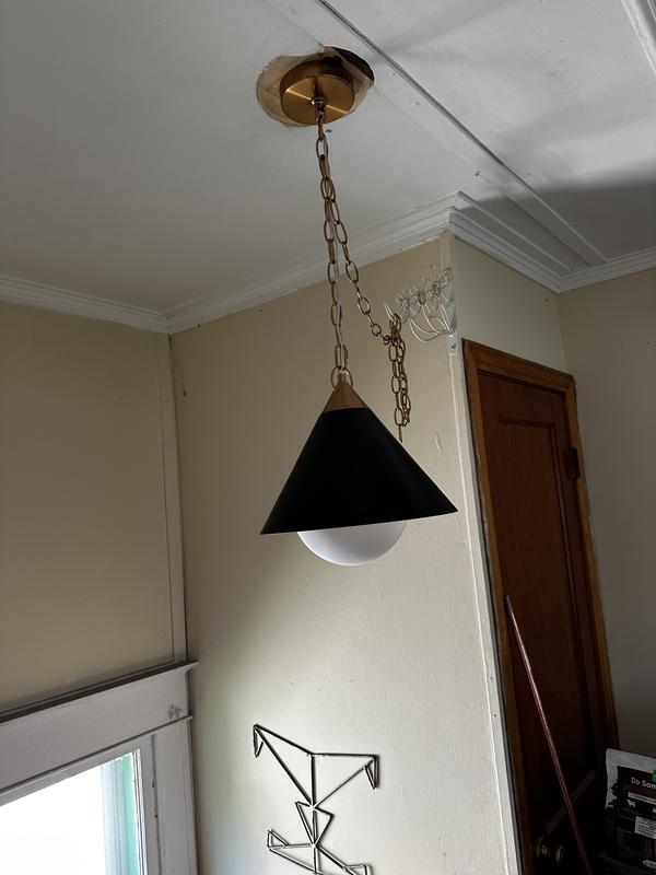 LNC Penstemon 1 -Light Polished Gold and T extured Resin Modern ...