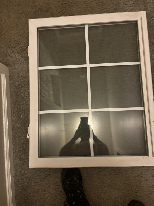 RELIABILT 11/16-in x 1-3/8-in x 12-ft Primed Finger Jointed Pine 163 ...