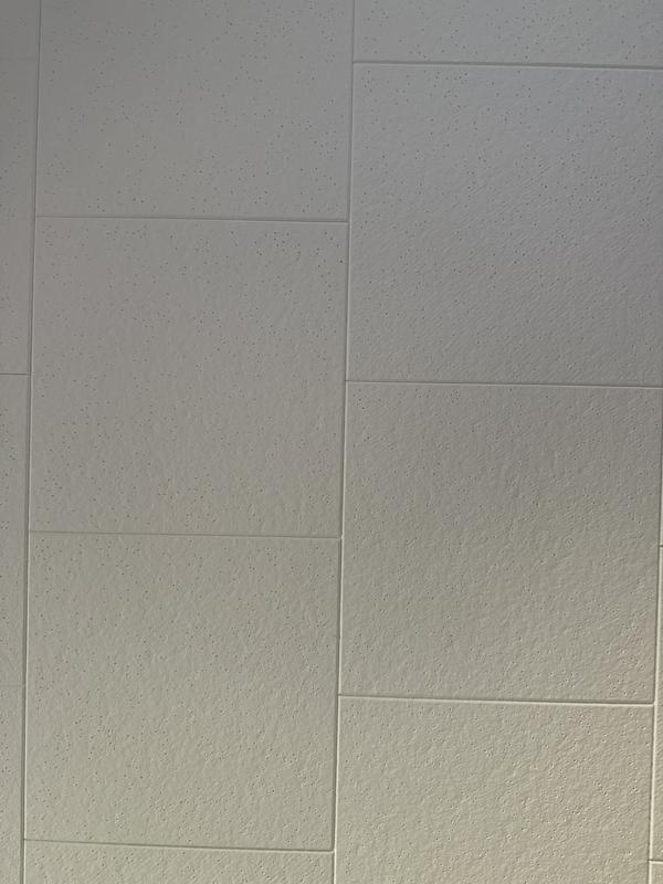 Valspar 4000 Flat White Ceiling Paint ( 1-gallon ) in the Ceiling Paint ...