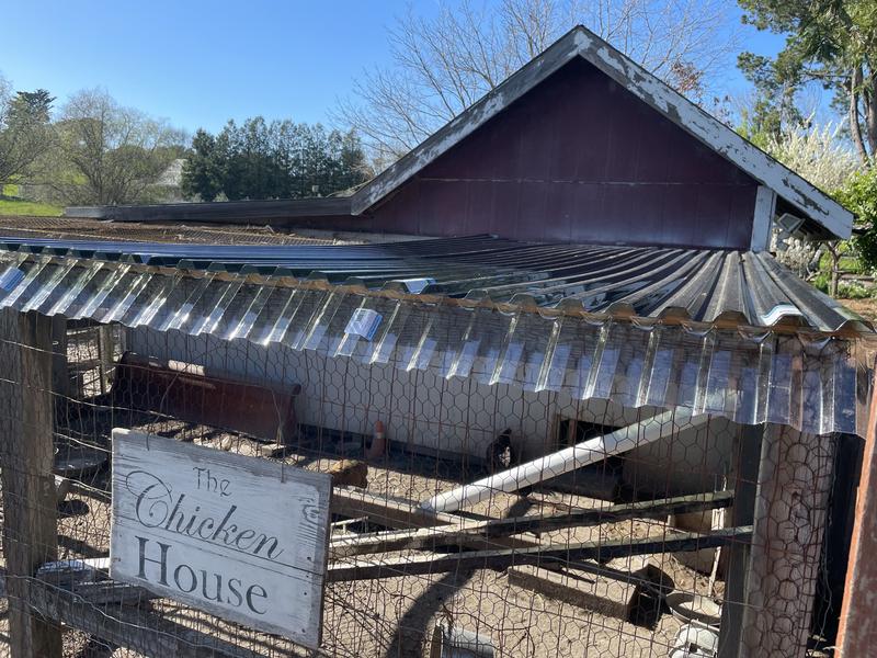 AmeriLux International CoverLite 12-in x 36-in Polycarbonate Roof Panel ...