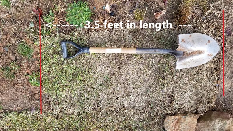 Harmony Outdoor Brands 500-sq ft Natural Centipede Sod Pallet ...