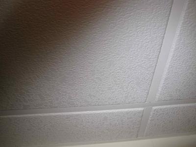 SpectraTile 2-ft x 2-ft White PVC Drop Ceiling Tile ( 12 -Pack, 48-sq ...