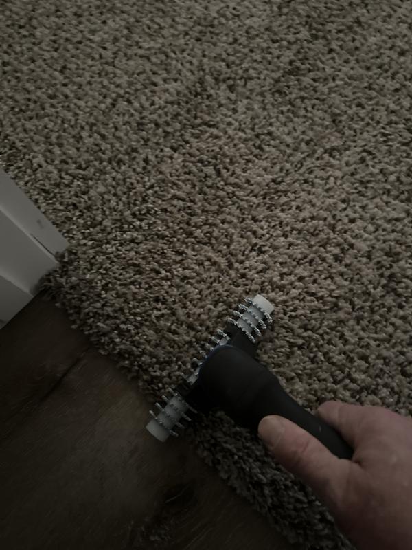 Capitol Professional 5-in Star Wheel Carpet Seam Roller 110801 at Lowes.com