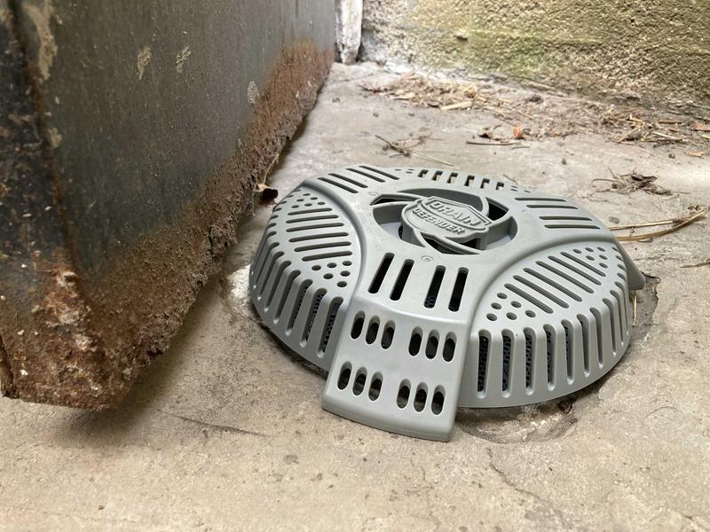 Drain Defender 12-in L x 12-in W x 12-in dia 2-in high drain defense ...