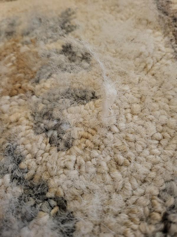 allen + roth with STAINMASTER Eleanor 8 x 10 (ft) Hooked Tonal Grey ...