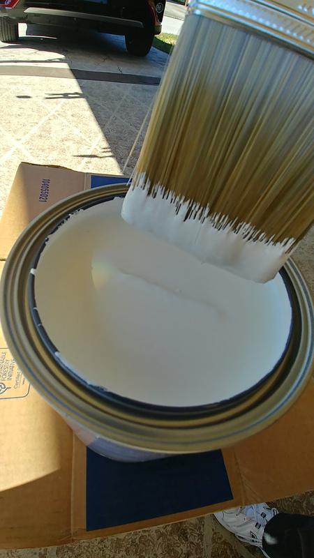 AMES Maximum-Stretch 1-gallon White Elastomeric Reflective Roof Coating ...