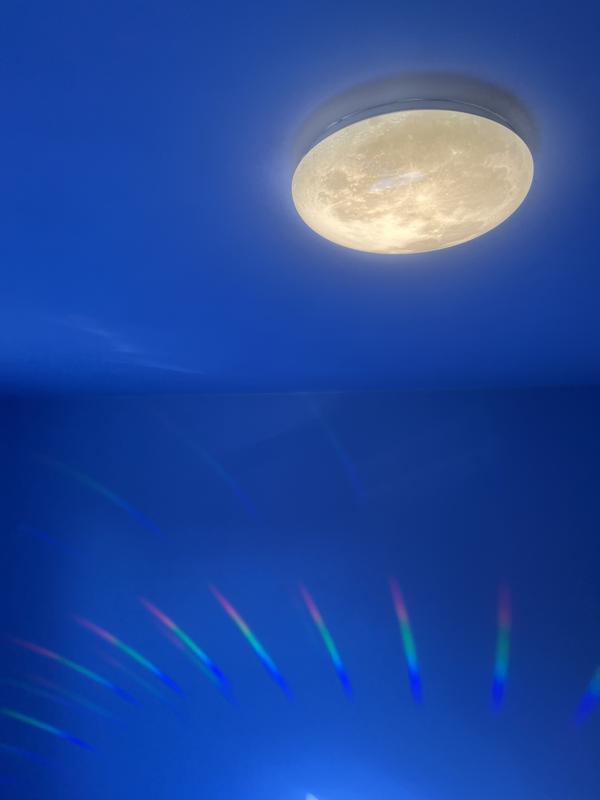 C Cattleya 1-Light 15-in Gray Indoor/Outdoor Flush Mount Light LCA2519 ...