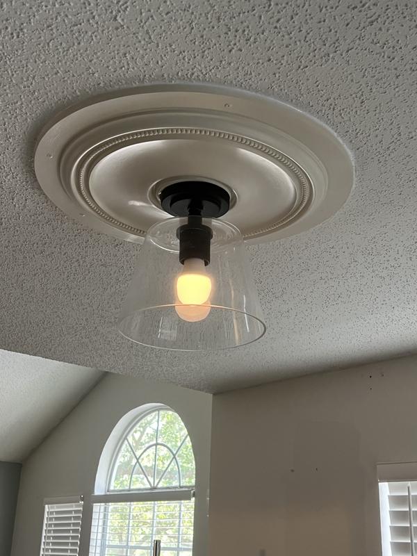 allen + roth Evans 1 -Light Brushed Nickel Transitional Clear glass ...