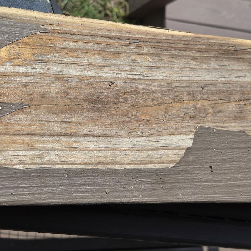 Cabot Red Cedar Solid Exterior Wood Stain and Sealer (1-quart) RED ...