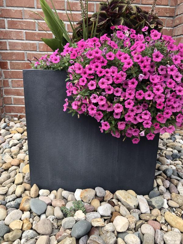 Pottery Pots Square 20-in W Extra Large Black Stone Contemporary/Modern ...