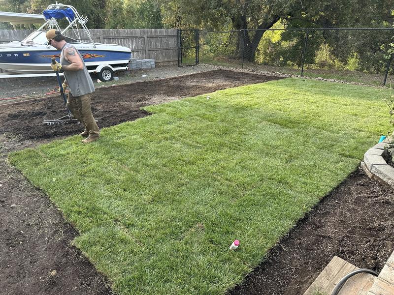 Harmony Outdoor Brands HARMONY HOME Fescue Sod Pallet - High Traffic ...