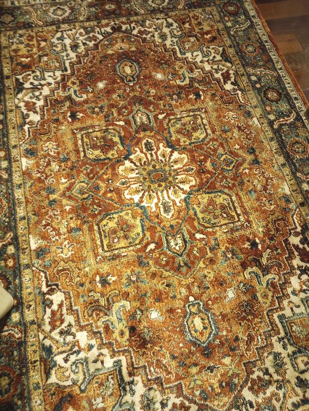 allen + roth with STAINMASTER Jezebel Performance 5 x 8 (ft) Loomed ...