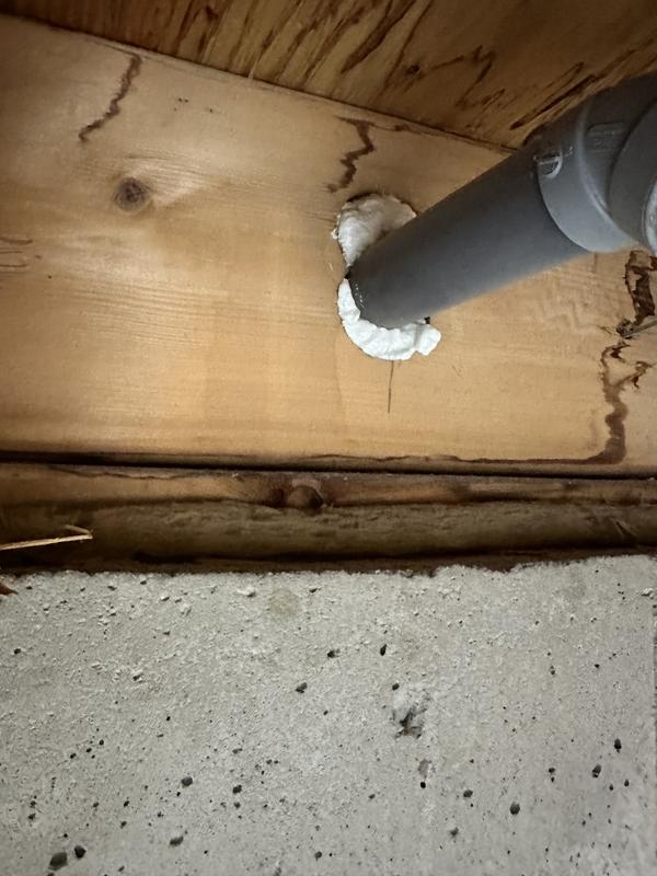 ENERFOAM 25 Professional Foam Sealant and Adhesive 24-oz Spray gun ...