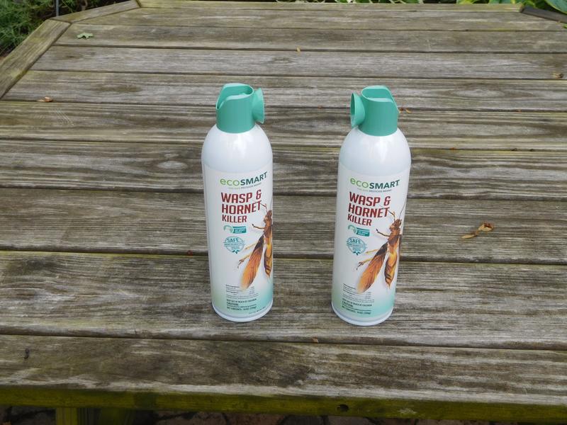 EcoSMART 14-fl oz Natural Insect Killer Aerosol (2-Pack) ECSM-33529 ...