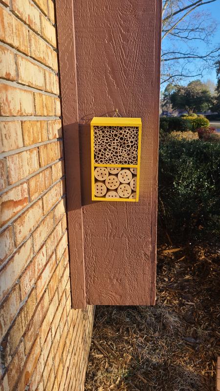 Nature's Way Yellow Pine Flush-mount Bee House at Lowes.com
