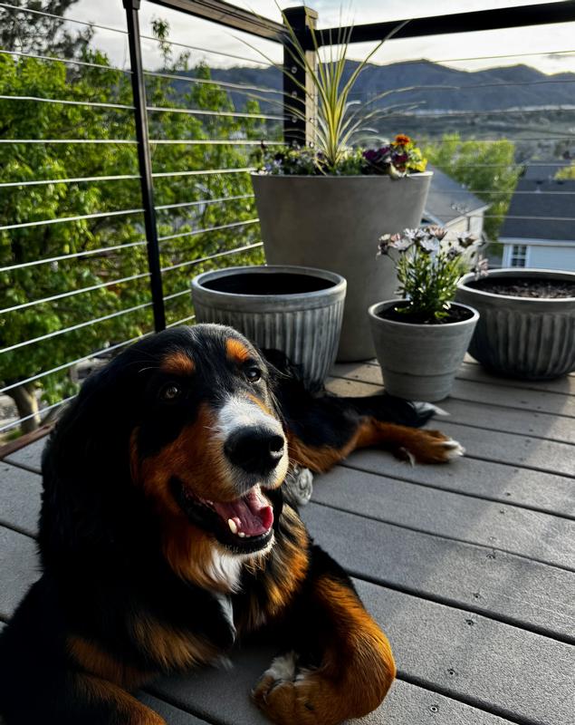 MPG Planters Round 20-in W Extra Large Gray Stone Outdoor Planter With ...