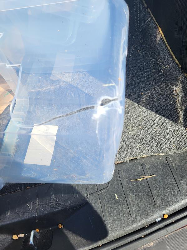 Hefty 6-Pack Hi Rise Medium 8-Gallon s (32-Quart) Clear/Blue Tote with ...