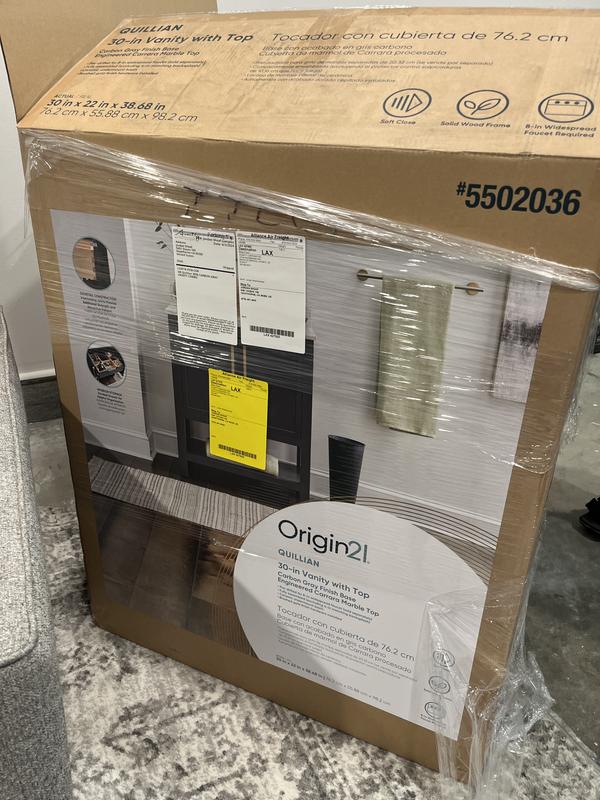 Origin 21 Quillian 30-in Carbon Grey Undermount Single Sink Bathroom ...