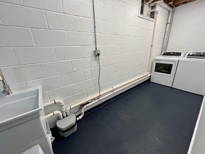 Liberty Pumps 1/6-HP 115 -Volt 21-Gallon Plastic Transfer pump in the ...