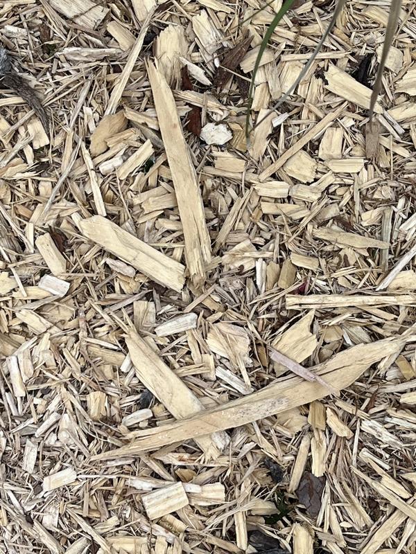 NoFloat 2-cu ft Cypress Blend Mulch in the Bagged Mulch department at ...
