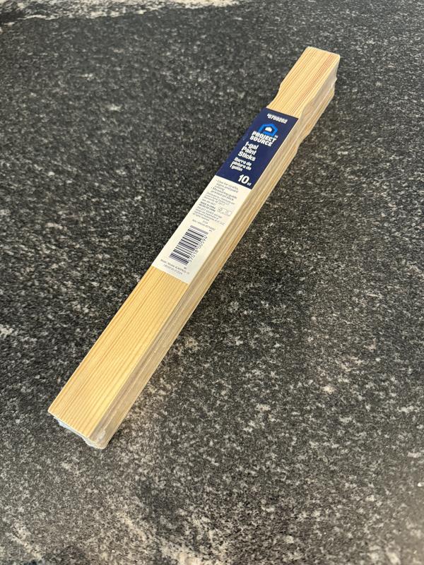 Project Source 1 Gal Paint Stick 10 Pack LWSPROS-10 at Lowes.com