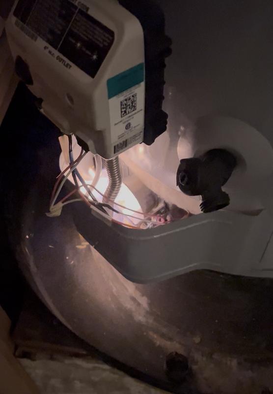 Shop A.O. Smith Signature 100 40-Gallons Tall 40000-BTU Natural Gas ...