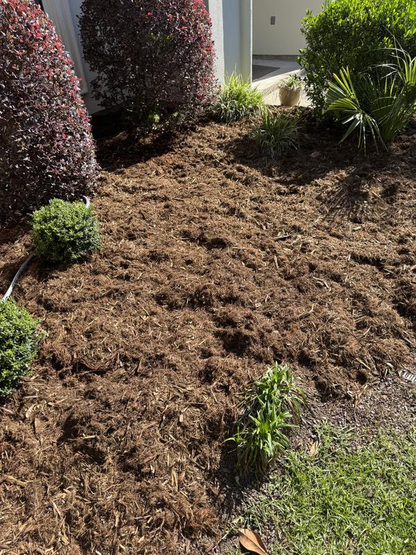Cypress Elite All Bark Cypress Mulch 3-cu ft Rustic Red Brown 100% ...
