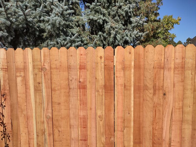 Alta Forest 5/8 in. x 5-1/2 in. x 6 ft. Western Red Cedar Dog-Ear Fence ...