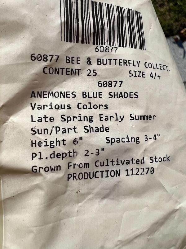 Breck's Multicolor Bee and Butterfly Spring Flowering Mixed Bulbs 120 ...