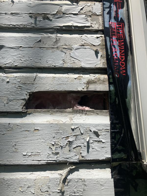 TOMCAT Rodent Block Expanding Foam Barrier Rat Prevent 4418510 at Lowes.com