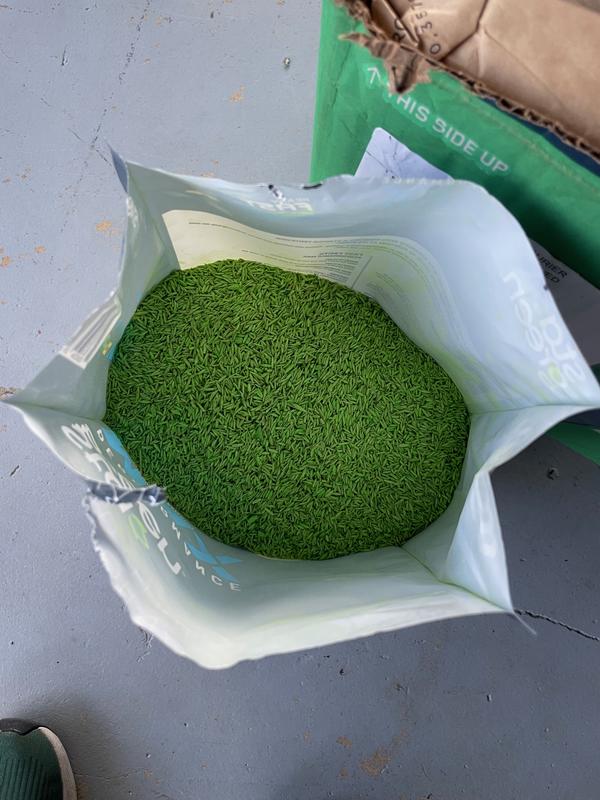 Sta-Green Performance Max 5-lb Mixture/Blend Grass Seed PS-PMSSH5 at ...