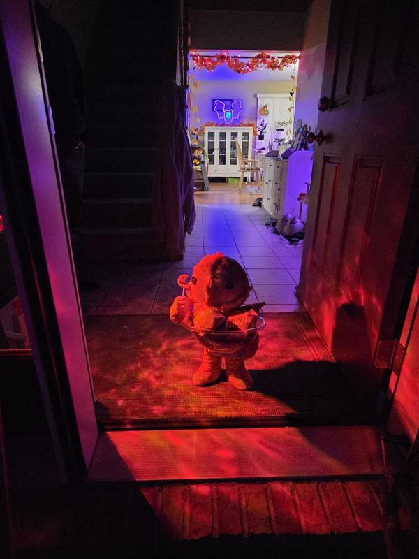 Haunted Living 2.5-ft Neon Lighted Bat Sign in the Halloween Decor ...