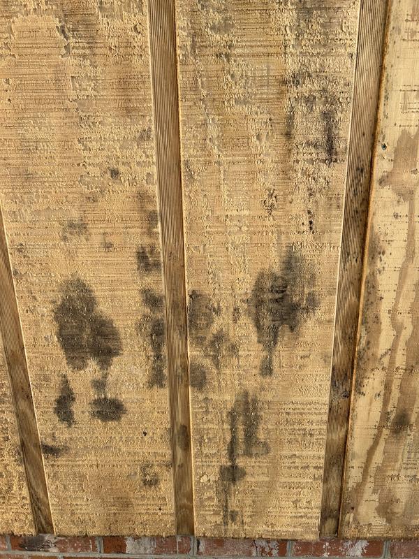Plytanium 12-in Groove Pattern 0.59-in x 48.0-in x 96.0-in SYP Plywood ...