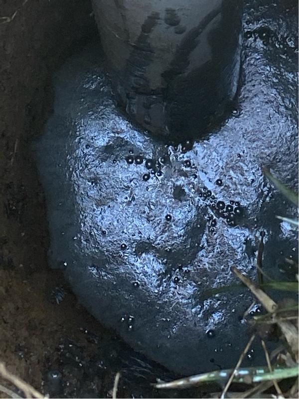 Fast 2K Fence Post Backfill 32.8 -fl oz Fast setting Fence post mix in ...