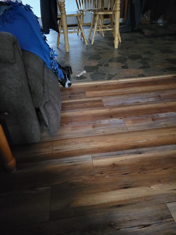 SMARTCORE Ultra Blue Ridge Pine Brown 12-mil Waterproof Interlocking ...