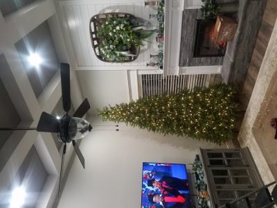 National Tree Company 10-ft Slim Artificial Christmas Tree DUSLH1-100 ...