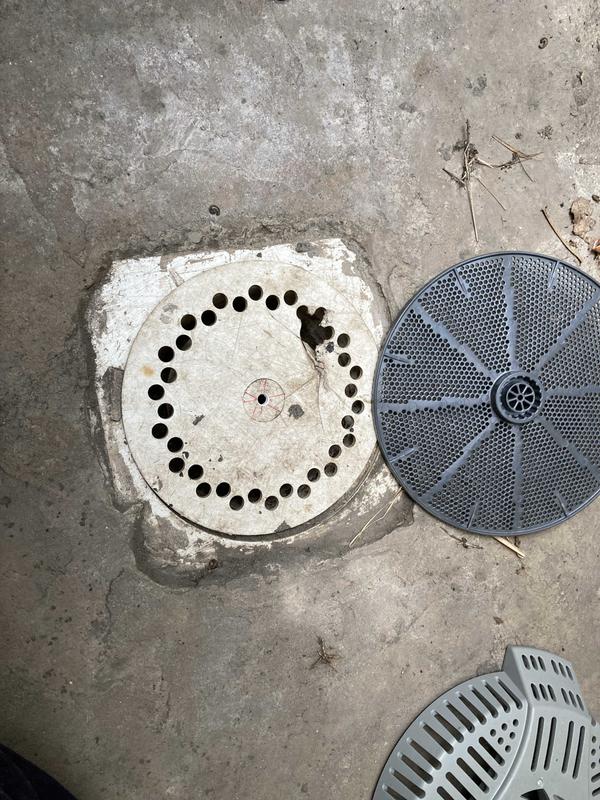 Drain Defender 12-in L x 12-in W x 12-in dia 2-in high drain defense ...