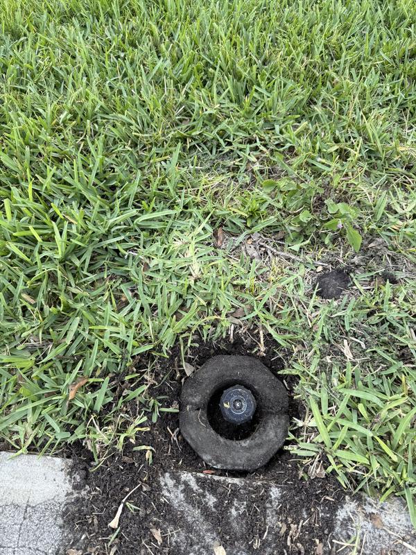 Project Source Sprinkler Donut Cutter 54069 at Lowes.com