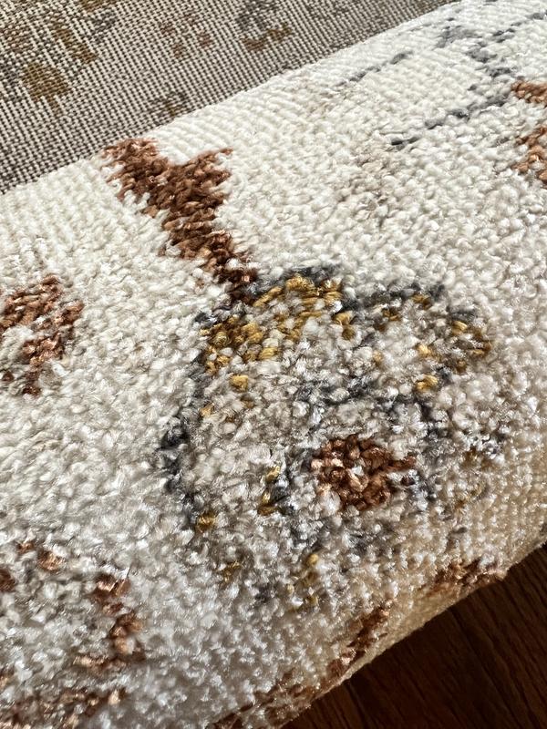 allen + roth with STAINMASTER Camille Border 8 X 10 (ft) Beige Indoor ...