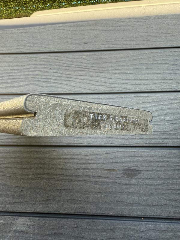 Trex Signature 12-in Ocracoke Composite Deck Board (Sample) in the Deck ...