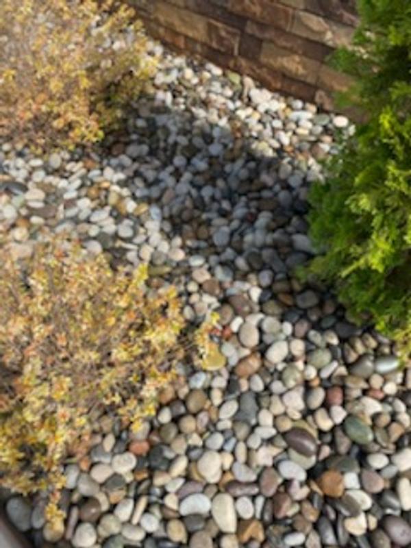 Rain Forest Brown Mixed Polished Pebbles 1-2-in 30lbs - Decorative Rock ...