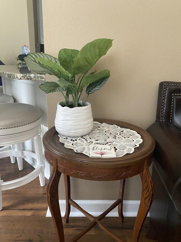 allen + roth 19.5-in Green Indoor/Outdoor Calathea Artificial Plant ...