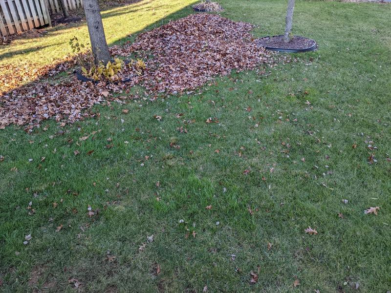 Blue Hawk 26-in Leaf Rake in the Lawn & Leaf Rakes department at Lowes.com