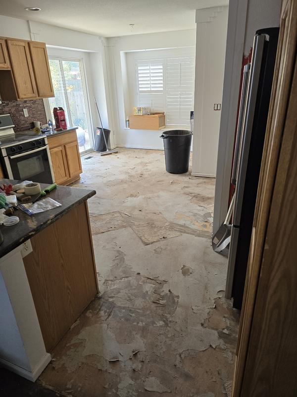 PERSONNA 6-in Steel Floor Scraper with 52-in Handle 61-0490-0000 at ...