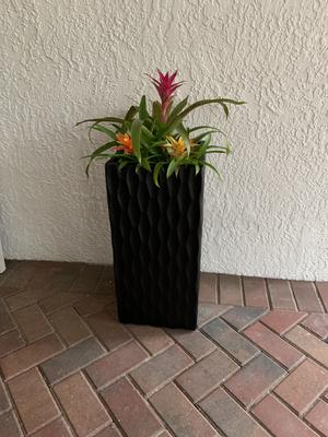 KANTE Rectangle 8.3-in W Extra Large Black Concrete Contemporary/Modern ...