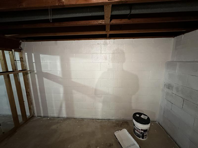 DRYLOK Pro Off-white Flat Solid Latex Mildew Resistant Mold Resistant ...