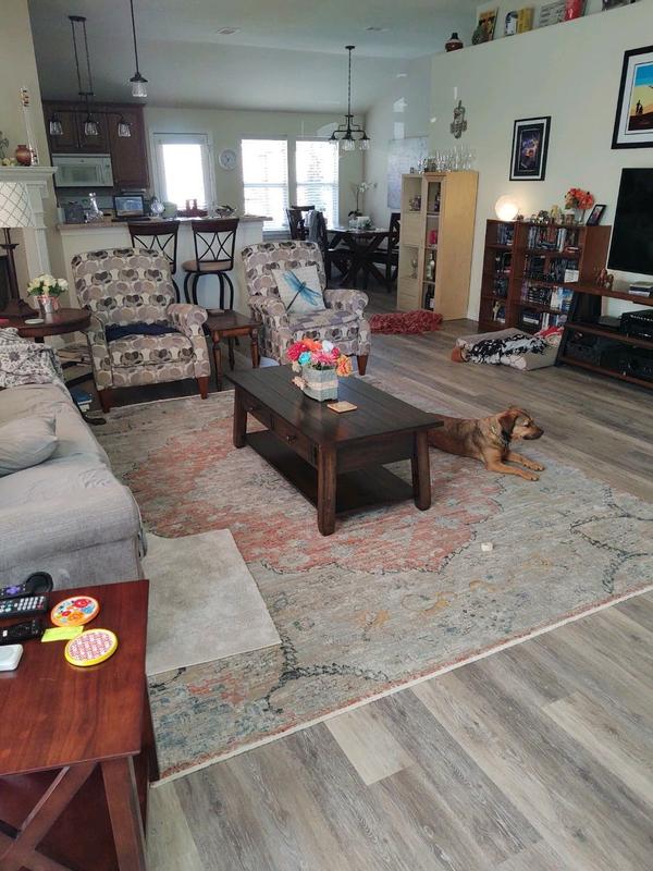 allen + roth Farren 5 X 7 (ft) Beige/Red Indoor Medallion Area Rug 2-57 ...