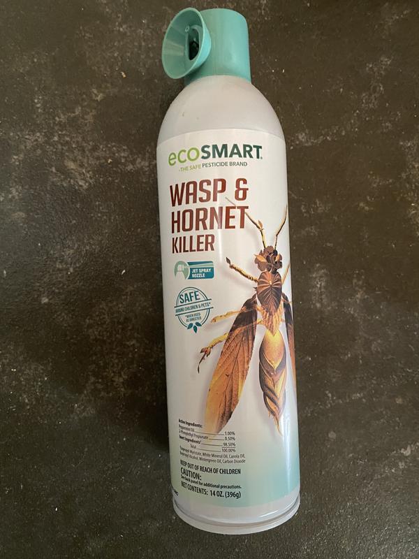 EcoSMART 14-fl oz Natural Insect Killer Aerosol (2-Pack) ECSM-33529 ...