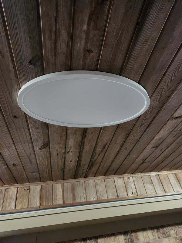 C Cattleya 1 -Light 32-in White Integrated LED Flush Mount Light in the ...