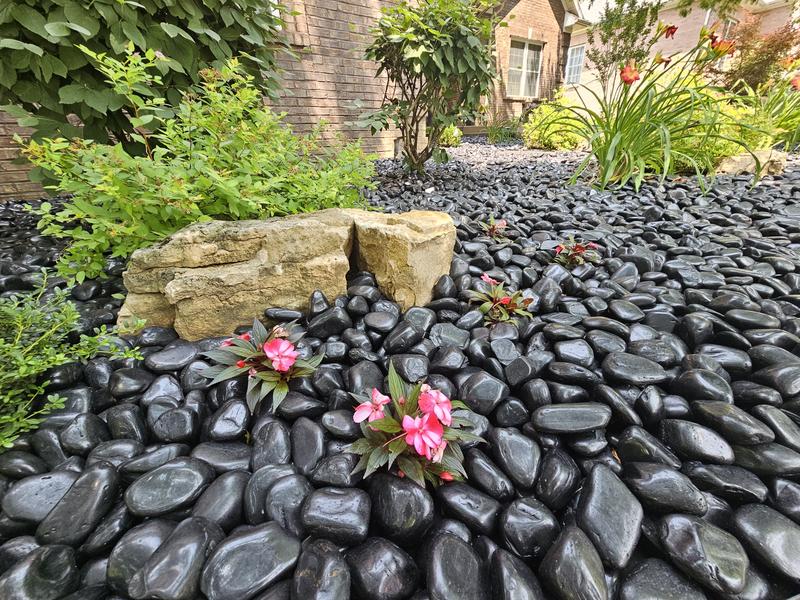 Rain Forest Black Super Polished Pebbles 2-3-in 30lbs - Landscaping ...